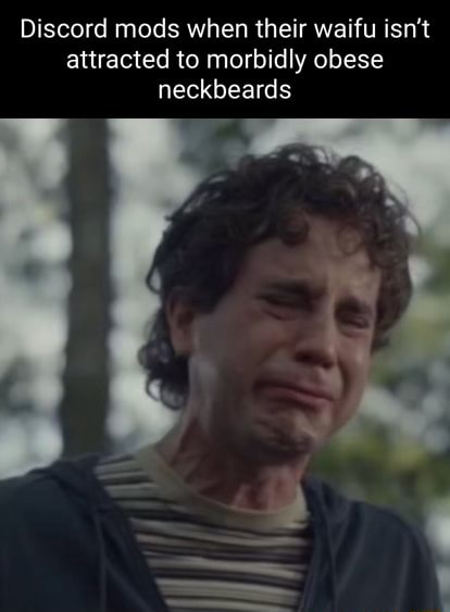 Discord mods when their waifu isn't attracted to morbidly obese ...