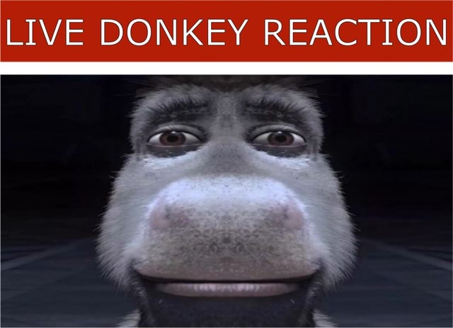 LIVE DONKEY REACTION - iFunny