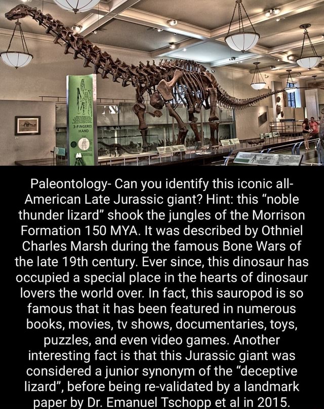 Paleontology- Can you identify this iconic all- American Late Jurassic ...