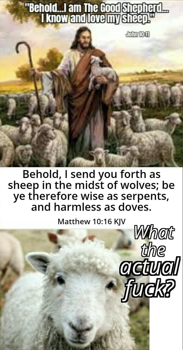 "Behold... am The Good shegherd... I know. and love Behold, I send you ...