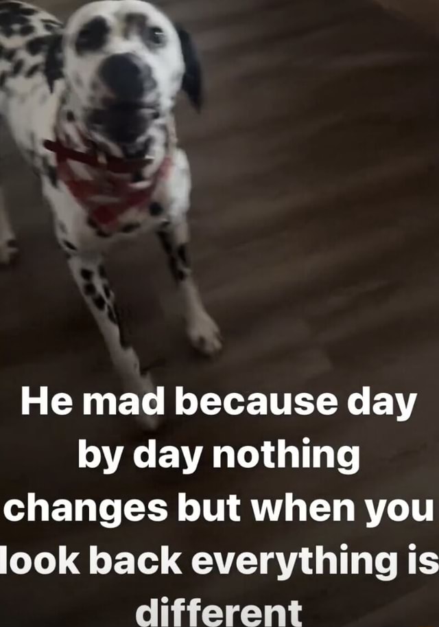 He mad because day by day nothing changes but when you look back ...