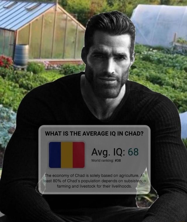 WHAT IS THE AVERAGE IQ IN CHAD? Avg. IQ: 68 World ranking: #38 The ...
