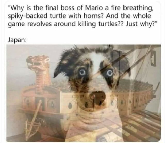"Why is the final boss of Mario a fire breathing, spiky-backed turtle ...