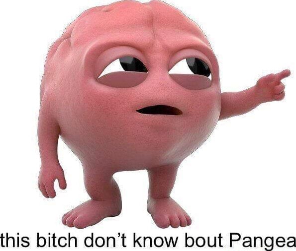 This bitch don't know bout Pangea - iFunny
