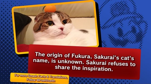 The origin of Fukura, Sakurai's Cat's name, is unknown. Sakurai refuses ...