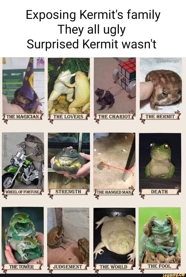Exposing Kermit's family They all ugly Surprised Kermit wasn't I THE ...