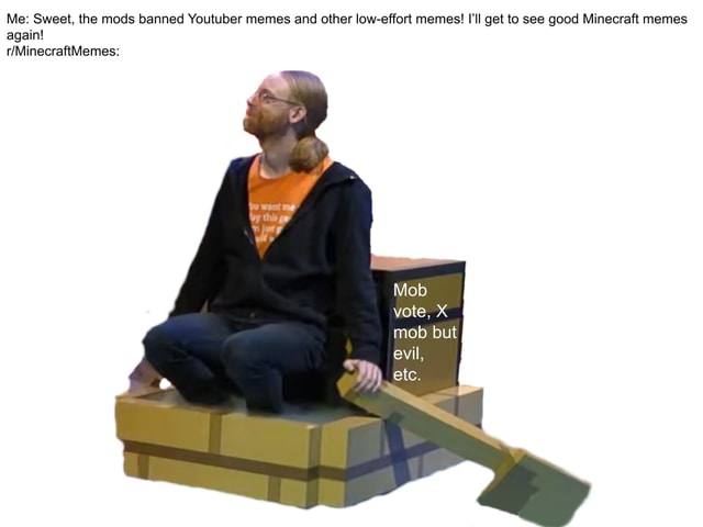 Me: Sweet, the mods banned Youtuber memes and other low-effort memes! I ...