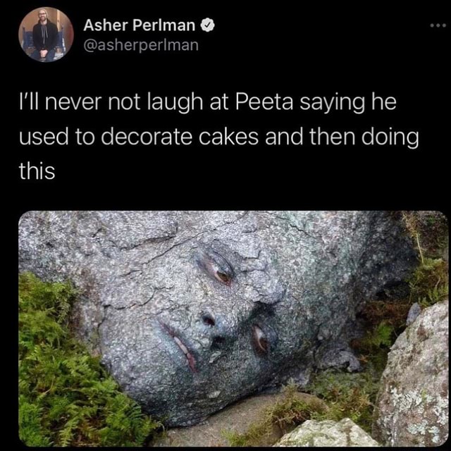 Asher Perlman @asherperlman I'll never not laugh at Peeta saying he ...