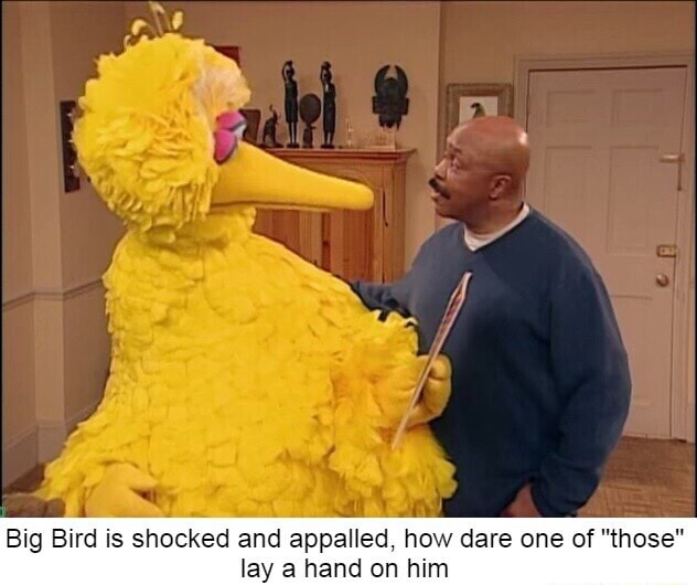 Big Bird is shocked and appalled, how dare one of "those lay a hand on ...