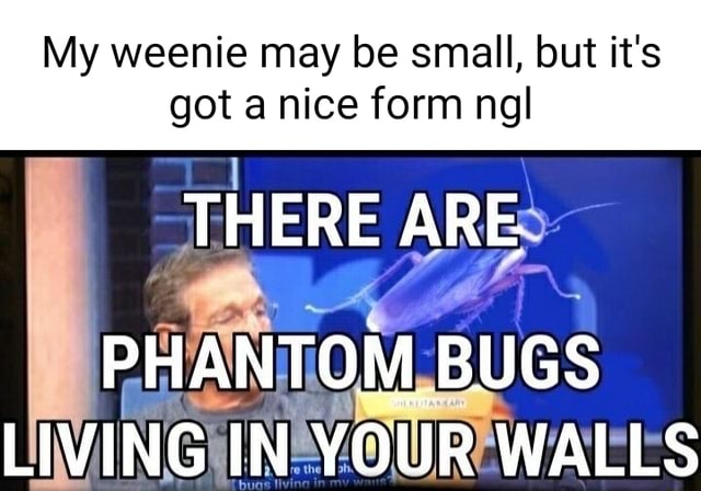 My weenie may be small, but it's got a nice form ngl THERE ARE. PHANTOM ...