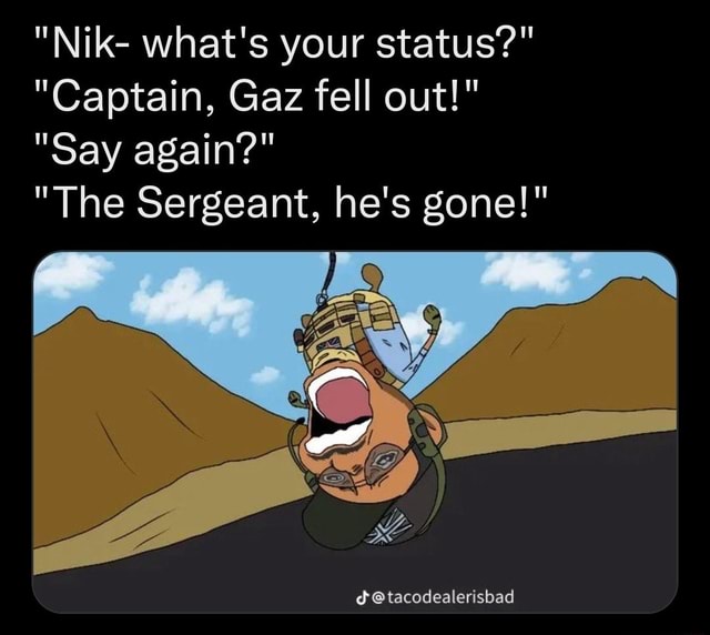 "Nik- what's your status?" "Captain, Gaz fell out!" "Say again?" "The ...