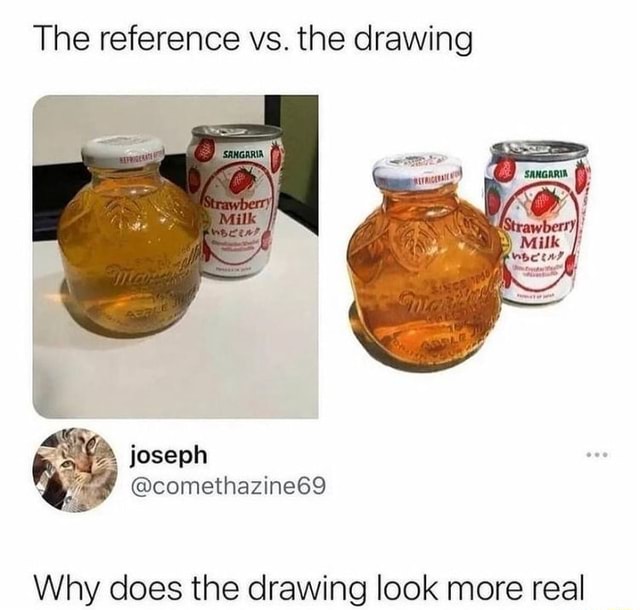 The reference vs. the drawing Why does the drawing look more real - iFunny