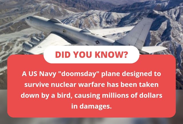 DID YOU KNOW? A US Navy "doomsday" plane designed to survive nuclear ...