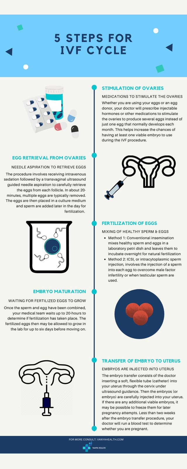 Ovarian stimulation; Egg retrieval; Sperm collection/retrieval ...