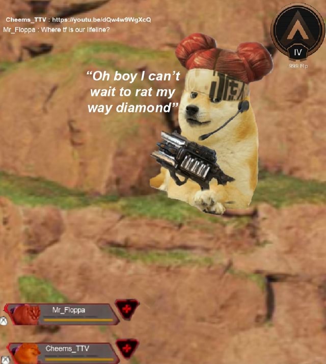 Cheems TTV bttps vyouti be dGadwoWwake Floppe Where our feline? "Oh boy ...