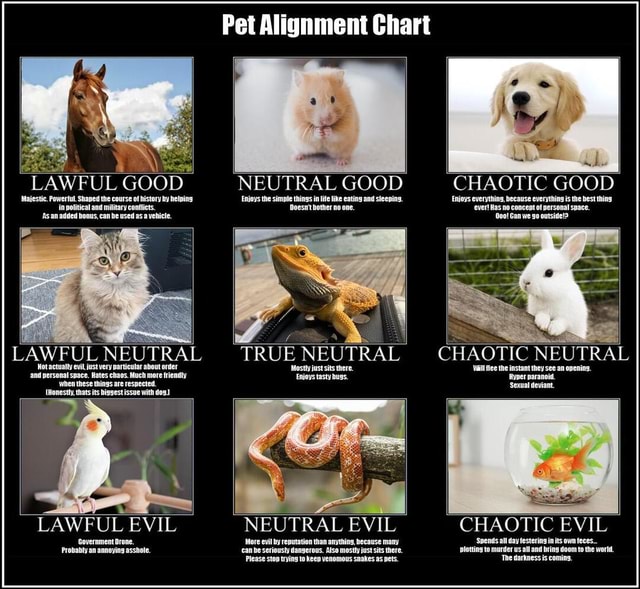 Pet Alignment Chart "LAWFUL GOOD added NEUTRAL GOOD Enjoys the simple ...