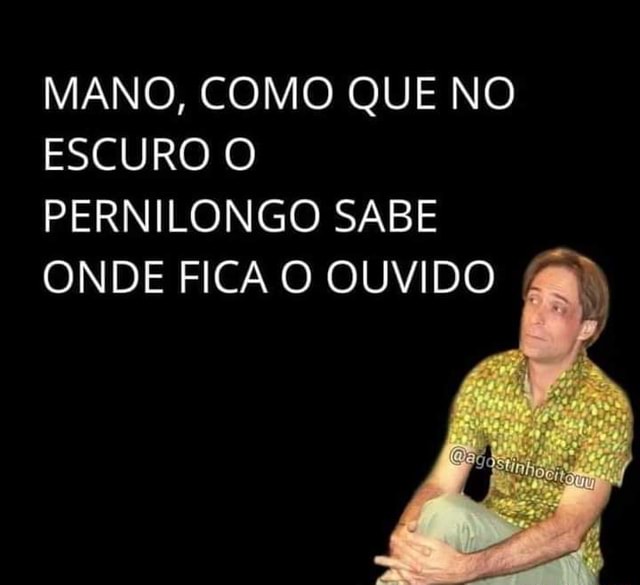 MANO, COMO QUE NO ESCURO O PERNILONGO SABE ONDE FICA O OUVIDO - iFunny