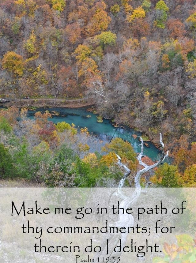 Thy commandments; for therein do I delight. Psalm ape fe Make me go in ...