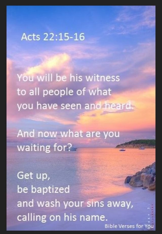 Acts his w tness to all people of whet you have seen an And now whet ...