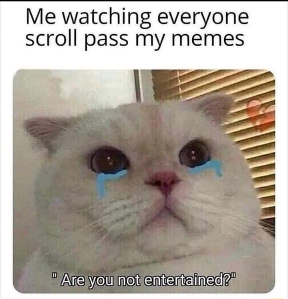 Me watching everyone scroll pass my memes Are you entertained?" - iFunny
