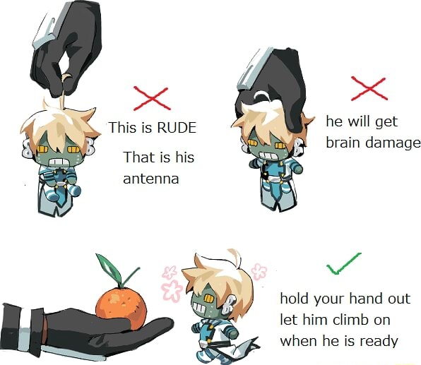 He will get brain damage This is RUDE That is his antenna hold your ...