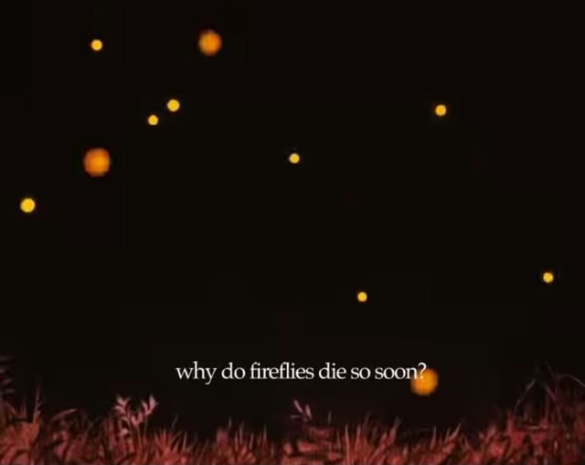 Why do fireflies die so soon? - iFunny
