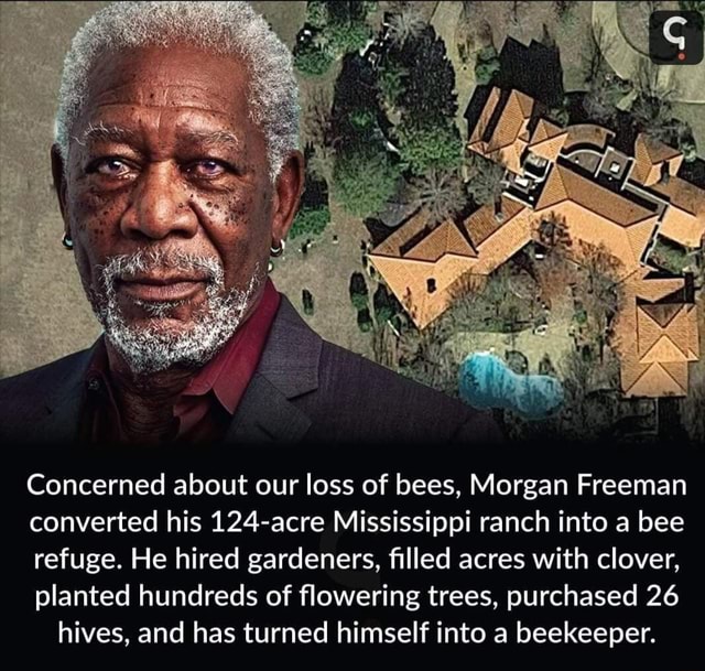 Concerned about our loss of bees, Morgan Freeman converted his 124-acre ...