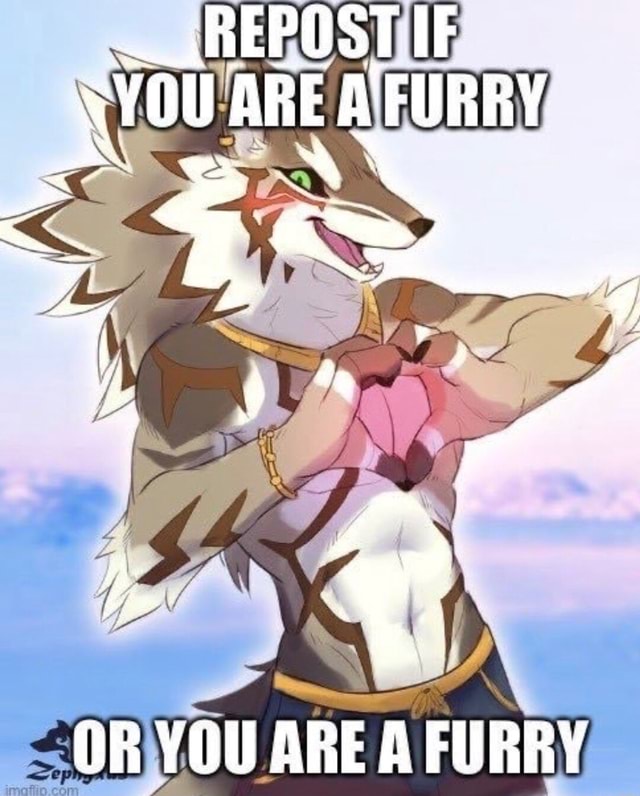 YOU ARE ARE A'FURRY is OR YOU ARE A FURRY com - iFunny