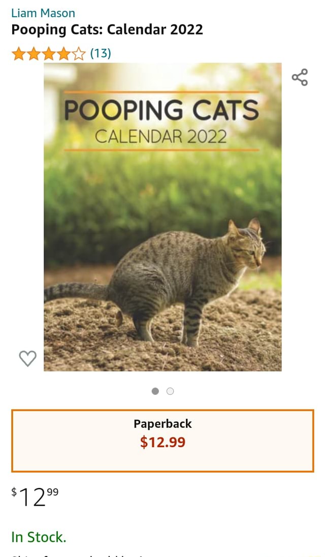This is a thing? - Liam Mason Pooping Cats: Calendar 2022 (13) POOPING ...