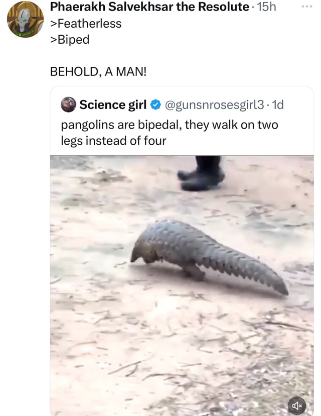 >Featherless Phaerakh Salvekhsar the Resolute >Biped BEHOLD, A MAN ...