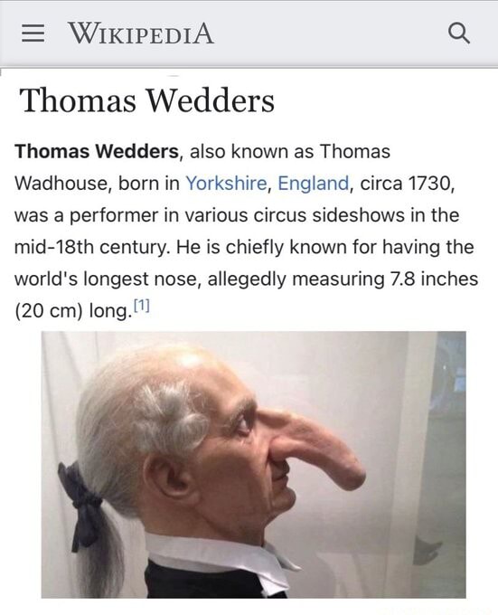 = WIKIPEDIA Q Thomas Wedders Thomas Wedders, also known as Thomas ...