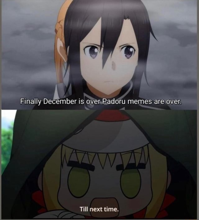 Finally December is overPadoru memes are over: y - Till next time. - iFunny