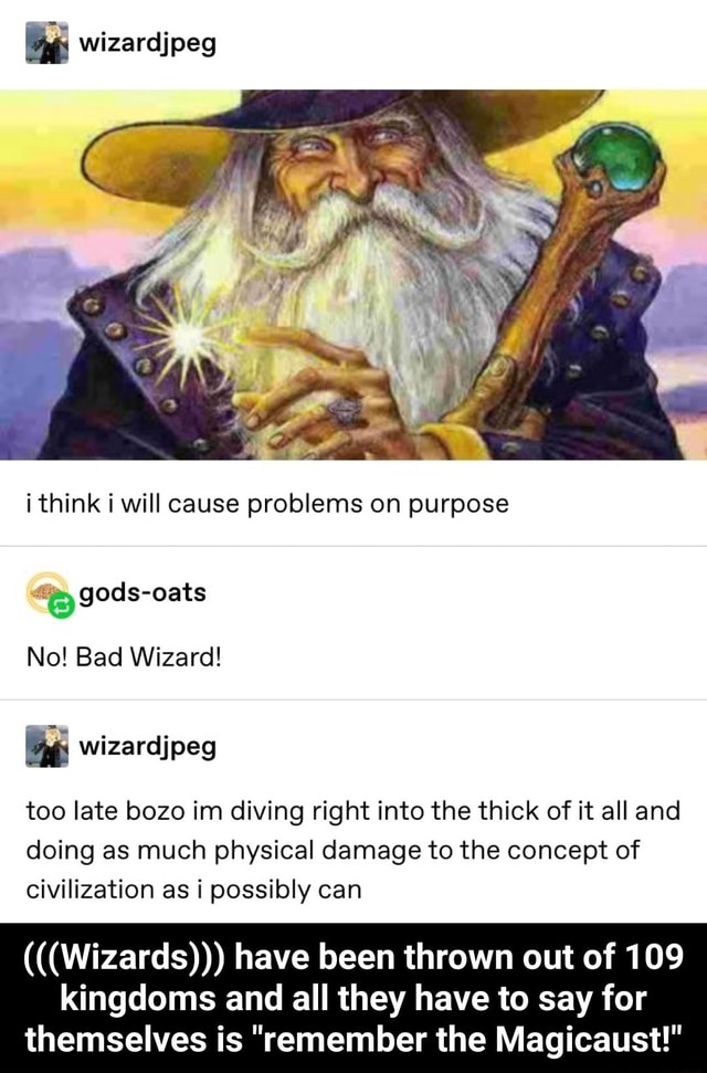 Ithink i will cause problems on purpose No! Bad Wizard! É wizardjpeg ...