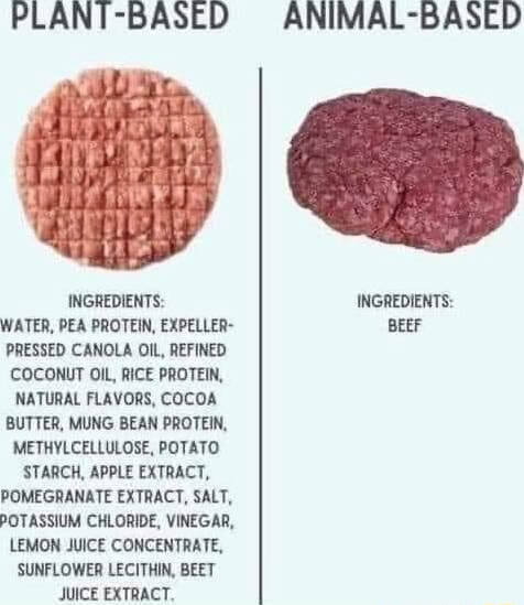 PLANI-BASED ANIMAL-BASED INGREDIENTS: INGREDIENTS: WATER, PEA PROTEIN ...