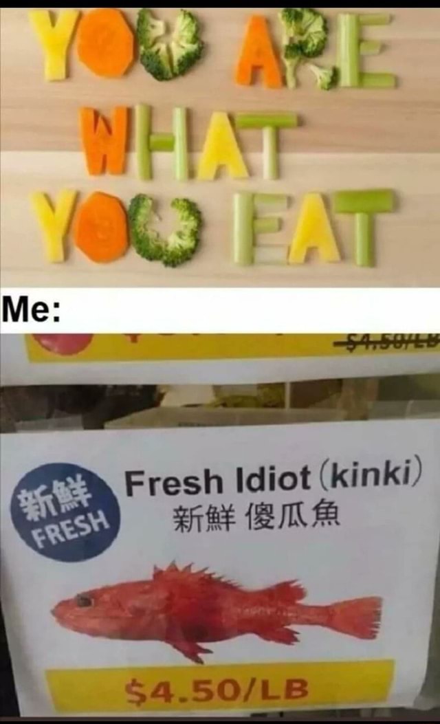 I'm not the sharpest tool in the shed... - %Q ol Me: Fresh Idiot (kinki ...