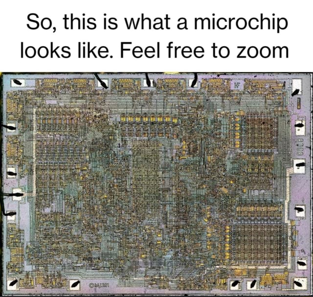 So, this is what a microchip looks like. Feel free to zoom wt - )