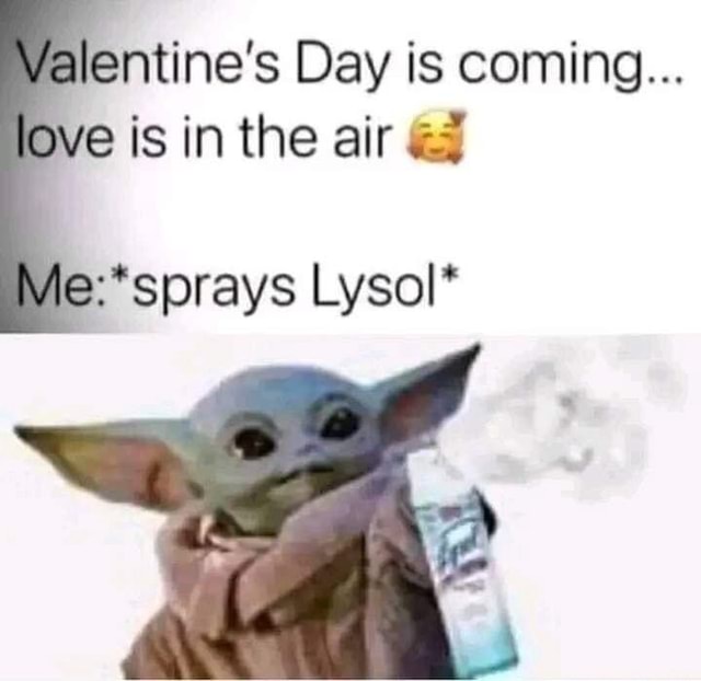 Valentine's Day is coming... love is in the air Lysol* - iFunny