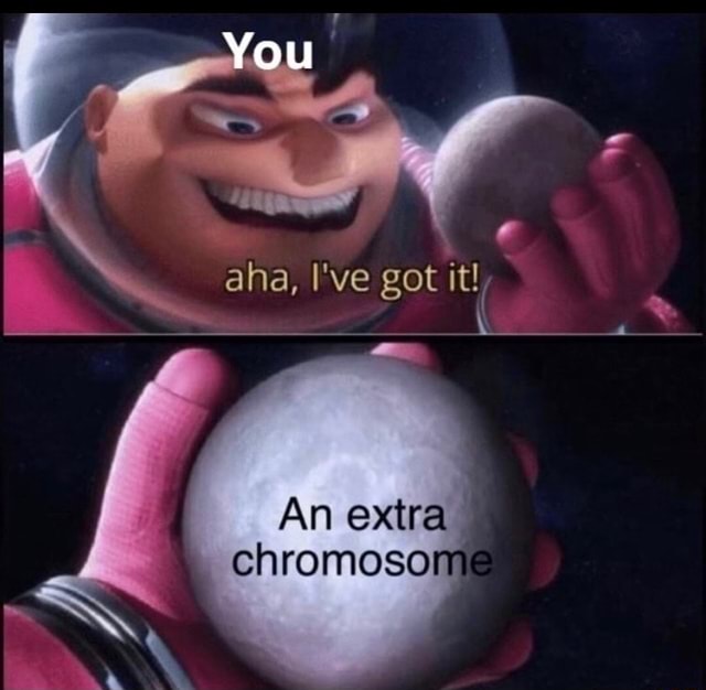 You aha, I've got it! An extra An chromosom - iFunny