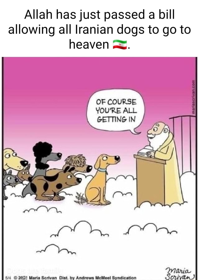 Allah has just passed a bill allowing all Iranian dogs to go to heaven ...