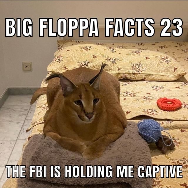 BIG FLOPPA FACTS 23 THE FBI HOLDING ME CAPTIVE - iFunny