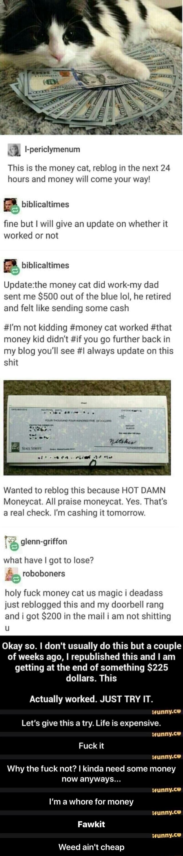 This is the money cat, reblog in the next 24 hours and money will come ...