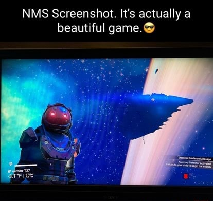 NMS Screenshot. It's actually beautiful game. - iFunny