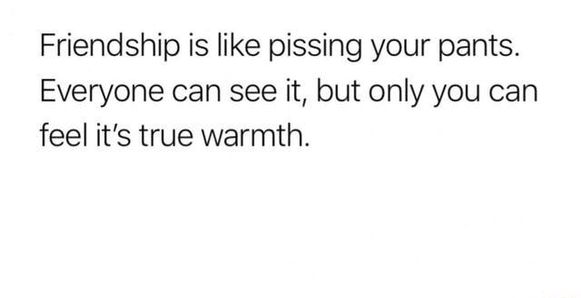 Friendship Is Like Pissing Your Pants Everyone Can See It But Only