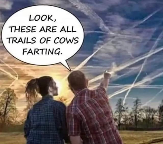 LOOK, THESE ARE ALL TRAILS OF COWS FARTING. - )