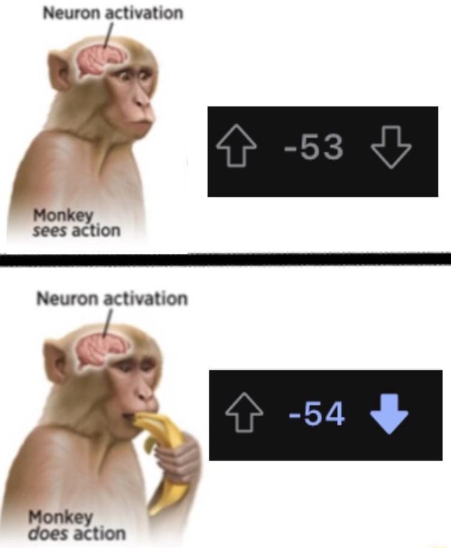 Neuron activation Monkey sees action Neuron activation Monkey AaAse ...