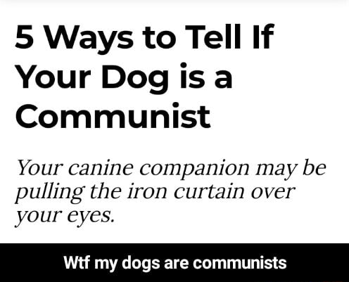 5 Ways to Tell If Your Dog is a Communist Your canine companion may be ...