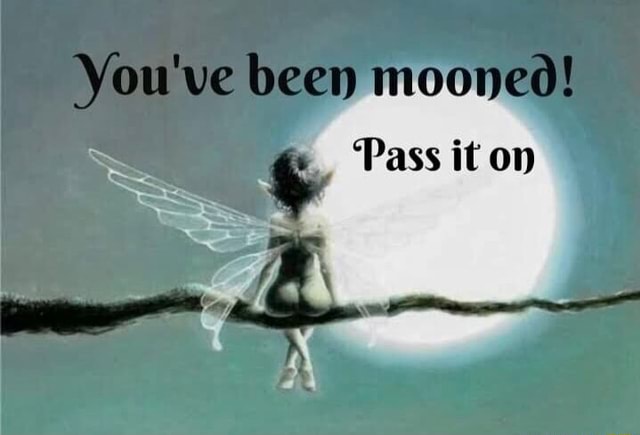 Vou've been mooned! Pass it on - iFunny