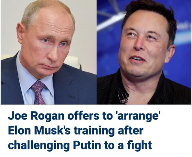Joe Rogan offers to 'arrange' Elon Musk's training after challenging ...