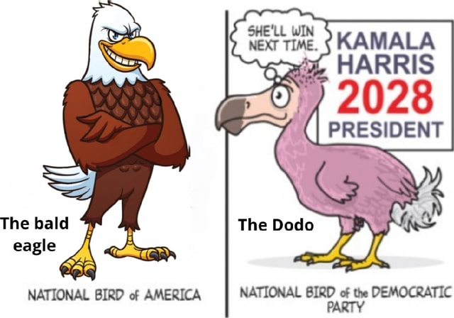 The bald eagle PRESIDENT The NATIONAL BIRD of AMERICA NATIONAL BIRD of ...