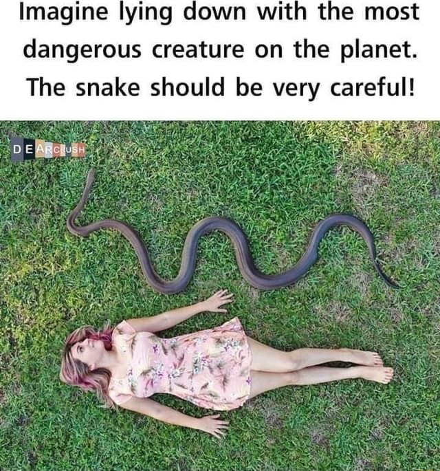 Imagine lying down with the most dangerous creature on the planet. The ...